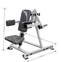 China Steel Commercial Plate Loaded Gym Equipment Lateral Raise Machine for Strength Training for sale
