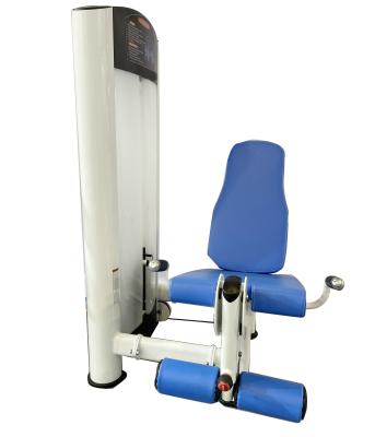 China Adjustable Seated Leg Extension Home Gym Machine for Quadriceps and Shins Workout for sale