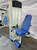 China Adjustable Seated Leg Extension Home Gym Machine for Quadriceps and Shins Workout for sale