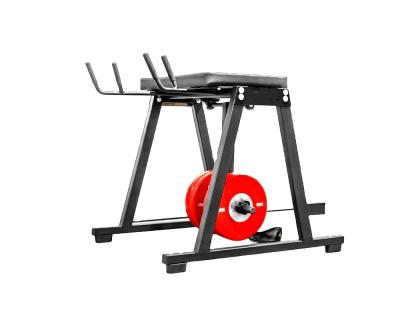 China Tube Thickness 3.0mm Reverse Hyper Machine for Leg Strength Training Fitness Equipment for sale