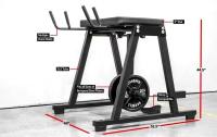 China Tube Thickness 3.0mm Reverse Hyper Machine for Leg Strength Training Fitness Equipment for sale