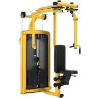 China Pec Deck Fly Machine for Building Back Arms and Chest Strength in Steel Gym Equipment for sale
