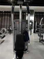 China Pec Deck Fly Machine for Building Back Arms and Chest Strength in Steel Gym Equipment for sale