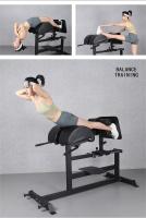 China 3.0mm Tube Thickness Multi Functional Glute Ham Developer for Professional Sports Gym for sale
