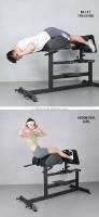 China 3.0mm Tube Thickness Multi Functional Glute Ham Developer for Professional Sports Gym for sale