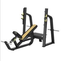 China Commercial Befreeman Gym Fitness Equipment Weight Training Bench Adjustable Incline Bench for sale