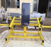 China 2020 Designed Plate Loaded Seated / Standing Shrug Commercial Steel Construction for sale