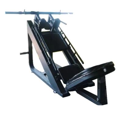 China 2 in 1 Hack Squat Leg Press Machine for Strength Training and Other Capacity Commercial for sale