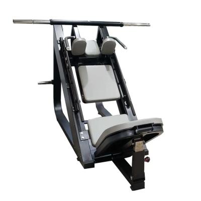 China Max Load 400KG Commercial Gym Equipment Leg Press Hack Squat Combo Machine for Bodybuilding for sale