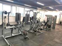 China Plate Loaded Machine Seated Bicep Curl Machine with Optional Frame Color 2020 Design for sale