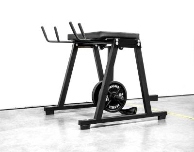 China Commercial Gym Equipment Reverse Hyper with Steel Material and Customized Design for sale