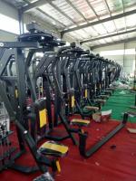 China Commercial Gym Strength Training Vertical Knees Up/Dip Machine Made of Durable Steel for sale