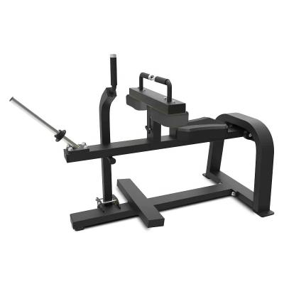 China Seated Calf Raise Plate Load MARCH EXPO Gym Equipment with Customized Logo Availabled for sale