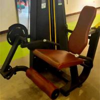 China Bodybuilding Fitness Pin Load Selection Steel Seated Leg Extension Curl Gym Equipment for sale