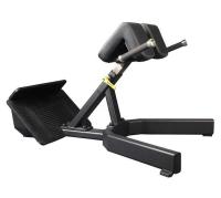 China Indoor Exercise Muscle Back Extension Roman Chair Bench Machine for Fitness Training for sale