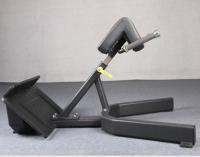 China Indoor Exercise Muscle Back Extension Roman Chair Bench Machine for Fitness Training for sale