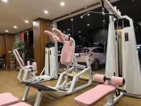 China V Squat Leg Press The Must-Have Gym Equipment for Body Building and Strength Training for sale