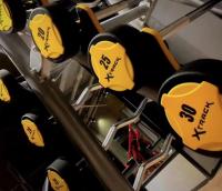 China Customized Logo Gym Fitness Equipment Rubber Cover Dumbbells for Market Demand for sale