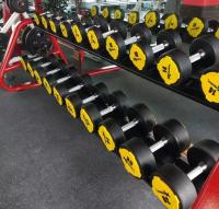 China Customized Logo Gym Fitness Equipment Rubber Cover Dumbbells for Market Demand for sale