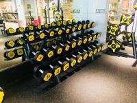 China Customized Logo Gym Fitness Equipment Rubber Cover Dumbbells for Market Demand for sale