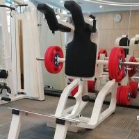China Steel Leg Press Hack Squat Machine for Strength Training and Body Building Excellence for sale