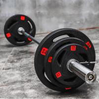 China Personal Trainers' Choice Cast Iron and Rubber Coated Weight Plates for Home Gym Floors for sale