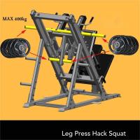 China Customized Logo Availabled Gym Fitness Equipment 2 in 1 Leg Press and Hack Machine for sale