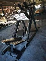 China Medium Loader 2 in 1 Hack Squat and Leg Press Machine for Commercial Strength Training for sale