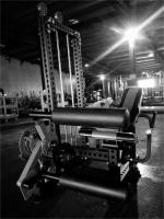 China Seated leg curl/ prone leg curl/leg extension Medium Loader for Steel Fitness Equipment for sale