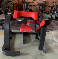 China Commercial Strength Biceps Triceps Machine FM-12 Gym Equipment with Steel Construction for sale