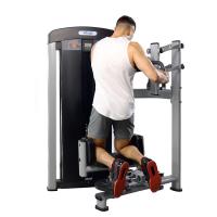 China Commercial Gym Fitness Sets Steel Indoor Torso Rotation Machine for Optimal Performance for sale