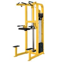 China Fitness Sport Equipment Indoor Dip/Chin Assist for Body Building Strength Training for sale