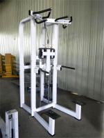 China Fitness Sport Equipment Indoor Dip/Chin Assist for Body Building Strength Training for sale