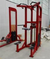 China Fitness Sport Equipment Indoor Dip/Chin Assist for Body Building Strength Training for sale