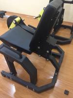 China Steel Gym Strength Training Free Weight Seated Leg Extension with Durable Steel Frame for sale