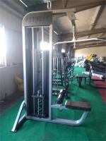 China Commercial Pin Load Seated Lat Pulldown with Handle Your Strength Training Solution for sale
