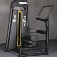China Commercial Fitness Center Universal Pin Loaded Rotary Torso Machine for Abs Workout for sale