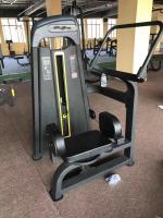 China Commercial Fitness Center Universal Pin Loaded Rotary Torso Machine for Abs Workout for sale
