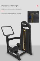 China Commercial Fitness Center Universal Pin Loaded Rotary Torso Machine for Abs Workout for sale