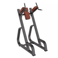 China Universal Fitness Sport Equipment Pull Up Bar Leg Raise Chest Shoulder Triceps Machine for sale
