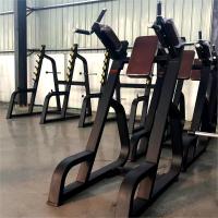 China Universal Fitness Sport Equipment Pull Up Bar Leg Raise Chest Shoulder Triceps Machine for sale