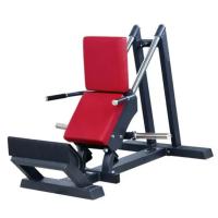 China 900*1705*1120 Commercial Plate Loaded Calf Raise Machine for Leg Press and Hack Squat for sale