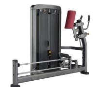 China Leg Press Gym Equipment for Leg Exercise Standing Glute Machine in Commercial Gym for sale