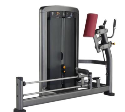 China Leg Press Gym Equipment for Leg Exercise Standing Glute Machine in Commercial Gym for sale