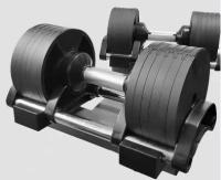 China Adjustable Dumbbells for Free Weight Training Exercise Muscle in Commercial Fitness for sale