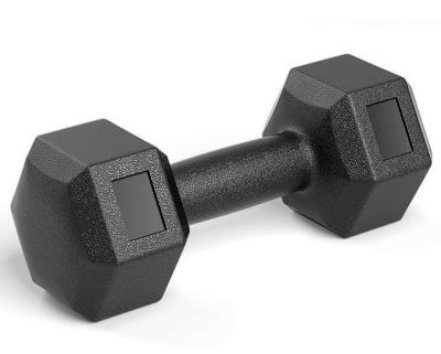 China Customized Logo Commercial Free Weight Training Dumbbell Fitness for Body Building for sale