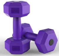 China Customized Logo Commercial Free Weight Training Dumbbell Fitness for Body Building for sale