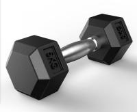 China Customized Logo Commercial Free Weight Training Dumbbell Fitness for Body Building for sale