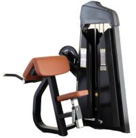 China Professional Gym Fitness Equipment Seated Bicep Machine for Strength Training Workout for sale