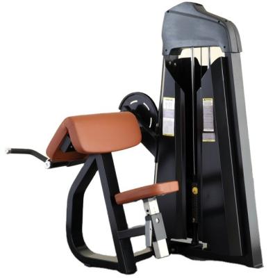 China Professional Gym Fitness Equipment Seated Bicep Machine for Strength Training Workout for sale